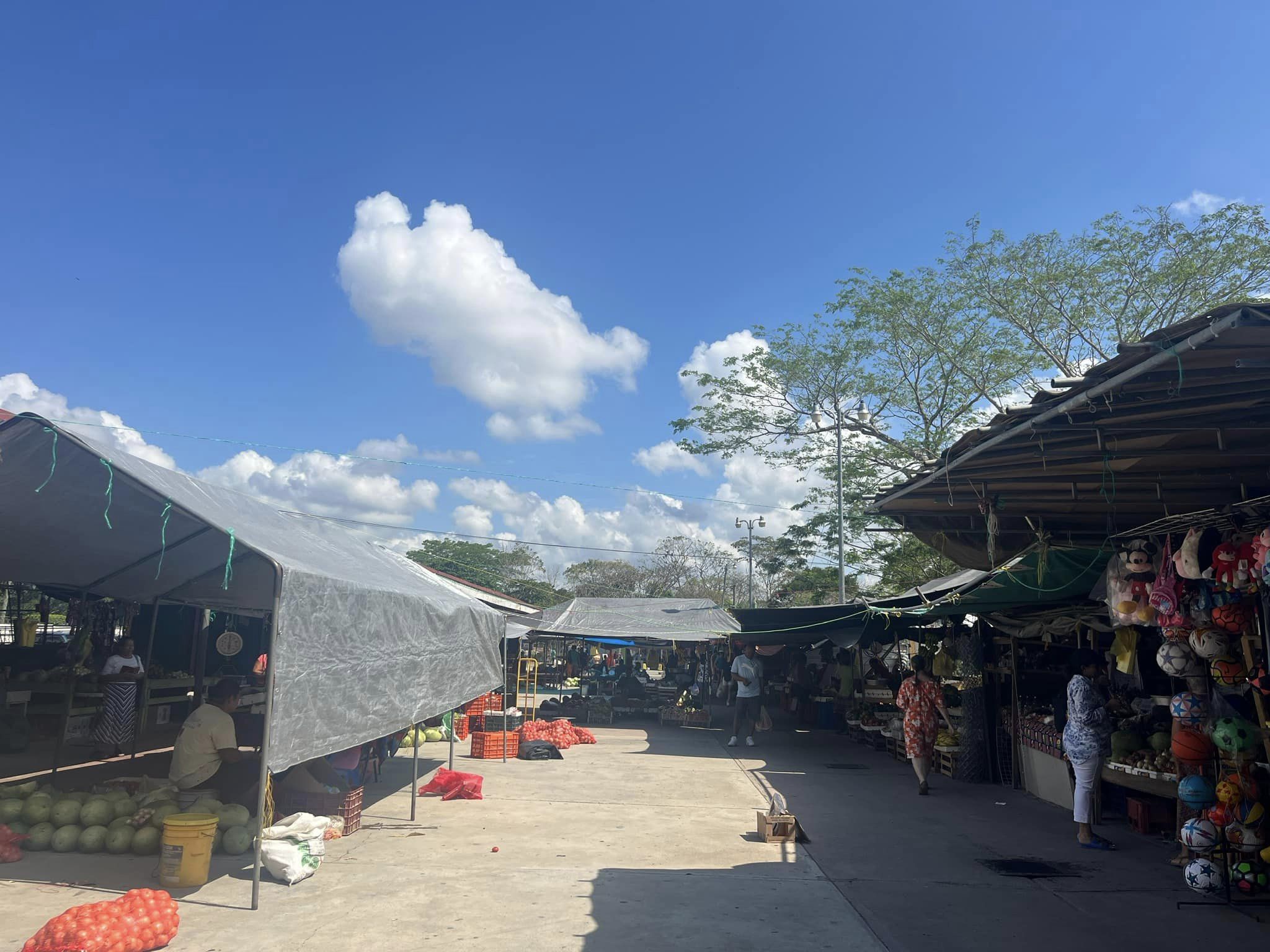 How to Explore Mayan Ruins in Belize on a Budget - Vic and Pat Travels