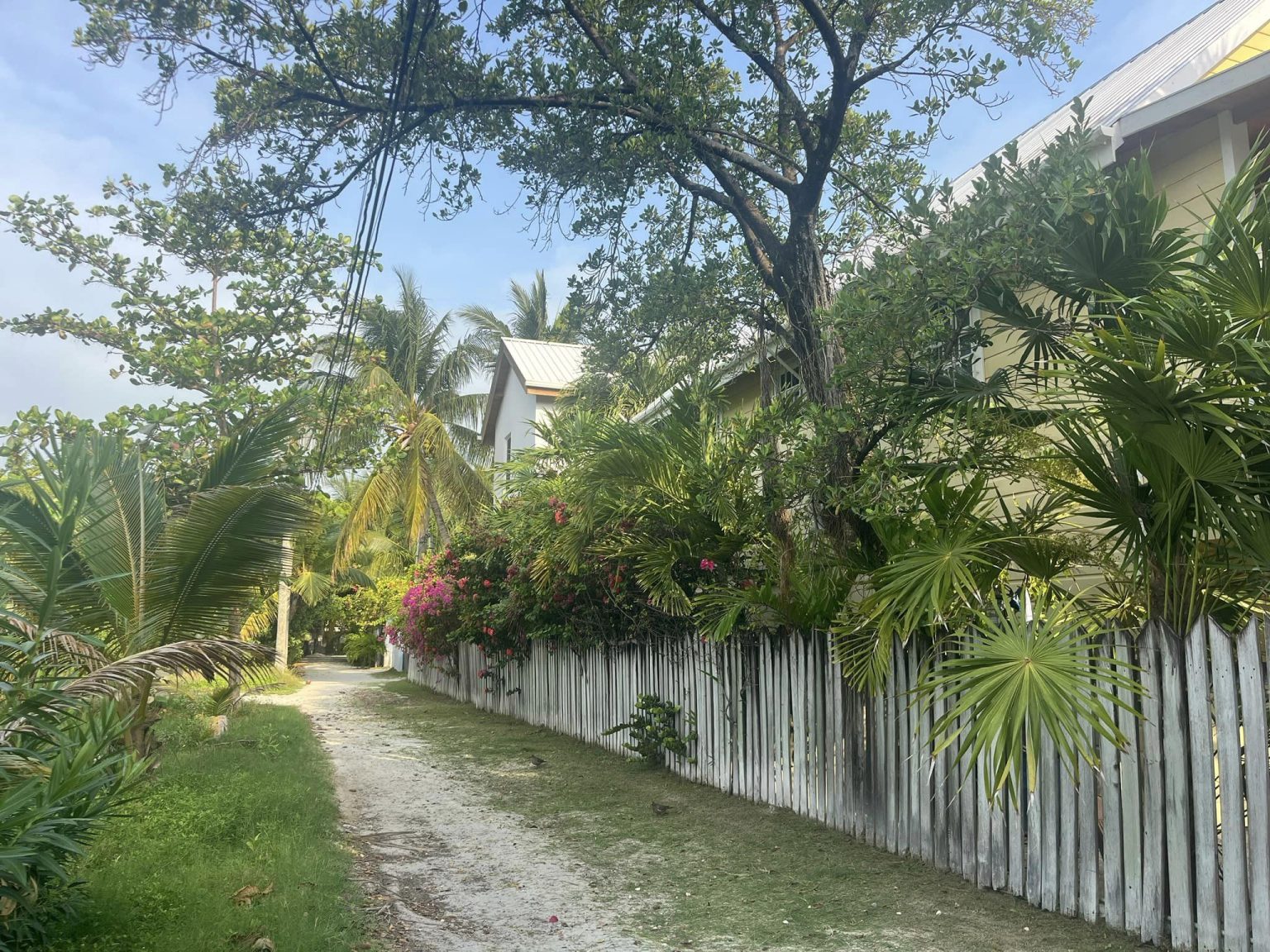 Islands + Mayan Ruins: 2 Week Budget Belize Itinerary - Vic and Pat Travels
