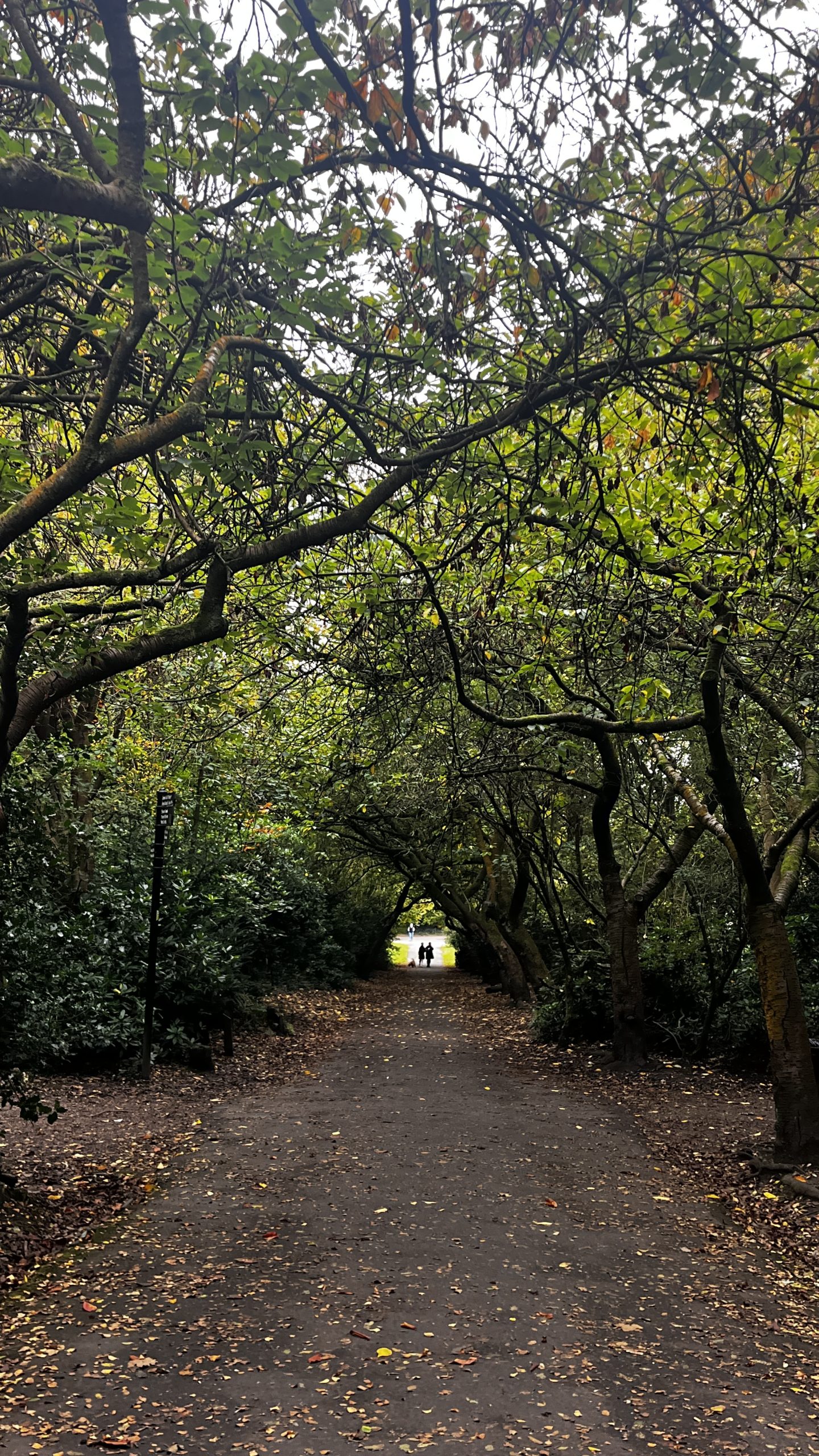 Perfect 1 Day Budget Guide to Prestwich, UK - Vic and Pat Travels
