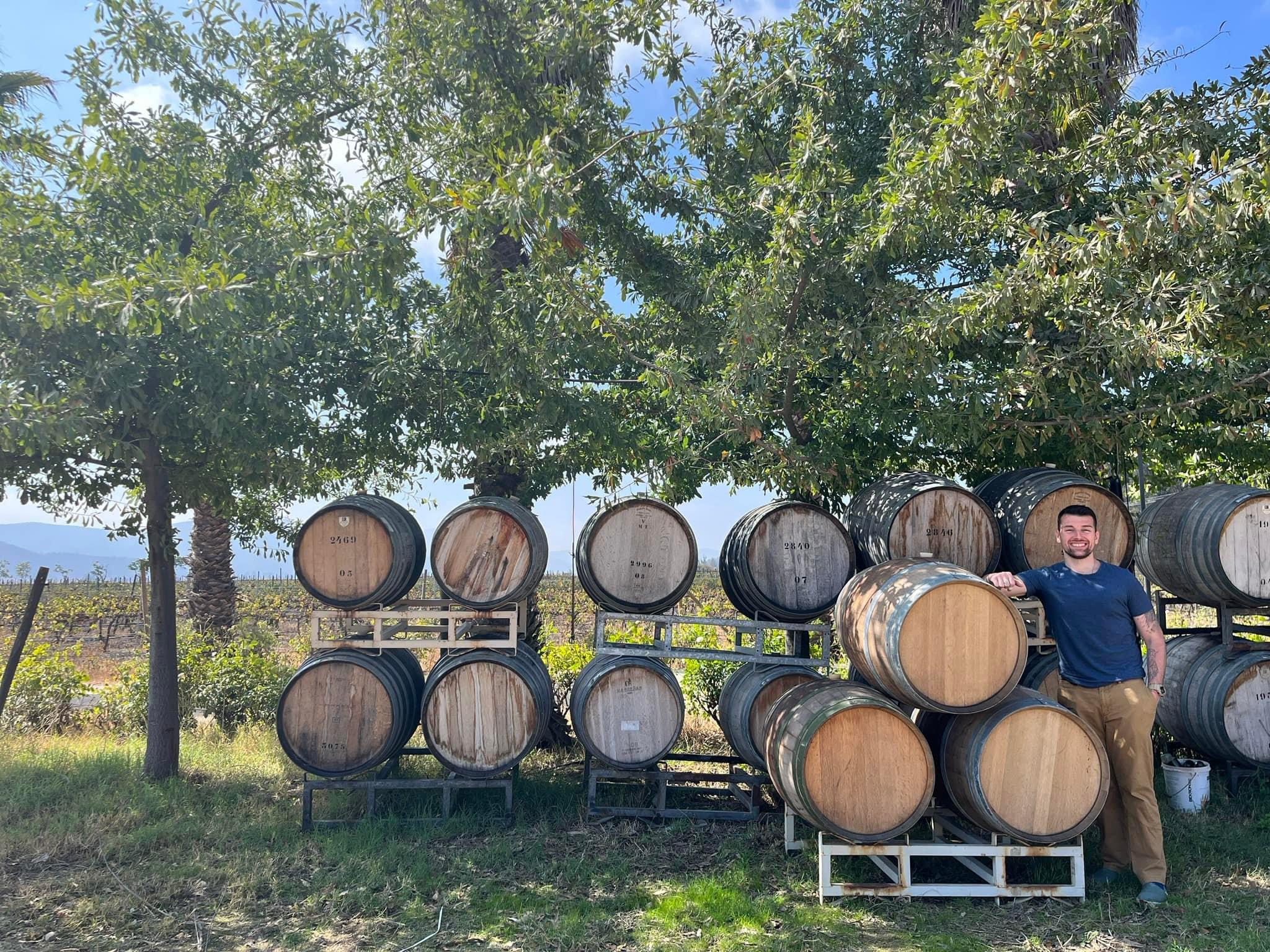 Best DIY Budget Chilean Winery Tour (Casablanca) - Vic and Pat Travels