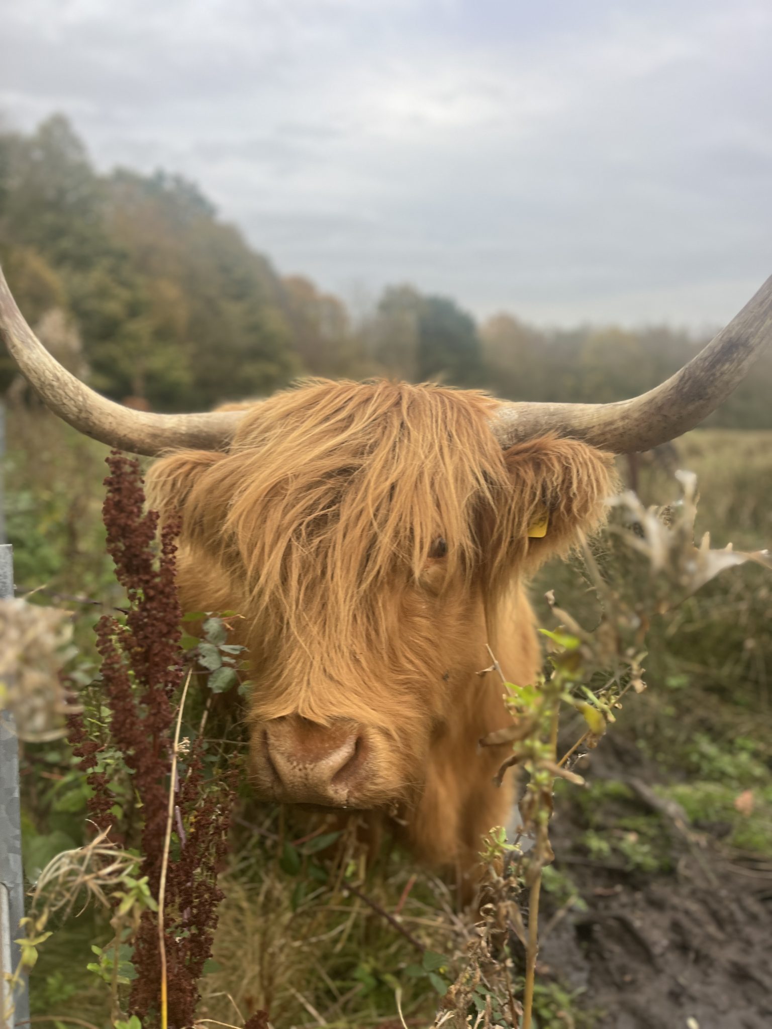 Perfect 1 Day Budget Guide to Prestwich, UK - Vic and Pat Travels