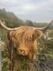 Perfect 1 Day Budget Guide to Prestwich, UK - Vic and Pat Travels